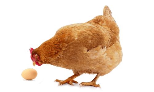 ME Bank - The Online Bank - Home Loans, Bank Accounts & More - ME Bank